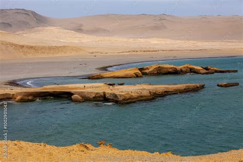 Foto De The Paracas National Reserve Is A Stunning Protected Area