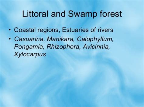Forest Classification