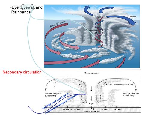 Tropical Cyclone Formation