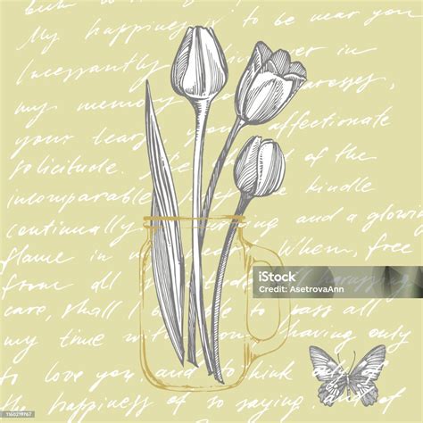 튤립 꽃 그래픽 스케치 일러스트 레이션입니다 식물 그림입니다 빈티지 약초 스케치 세트 잉크 손으로 그린 의료 허브와 식물 스케치 손으로 쓴 추상 텍스트입니다 0명에 대한