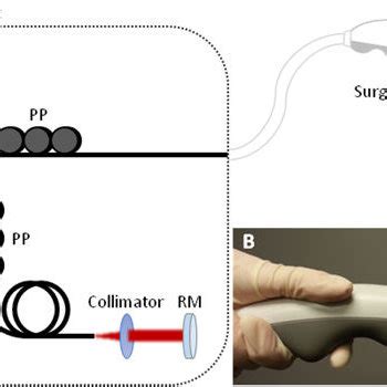 Handheld Surgical Imaging Probe And Portable OCT System For In Vivo Download Scientific Diagram