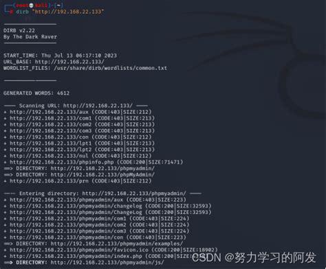 vulnstack实战（一）超级实战 csdn博客