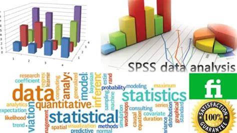 Statistical Data Analysis Interpretation And Report In Spss And Excel By Wafulawillwrite Fiverr