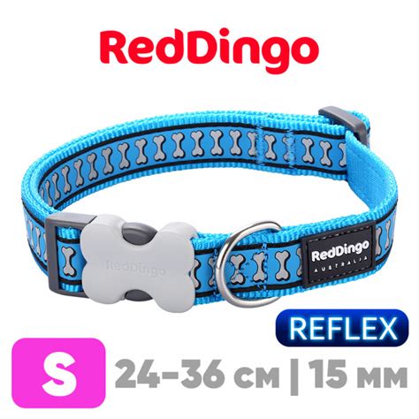 Ошейник для собак Red Dingo светоотражающий лазурный 24-36 см, 15 мм ...