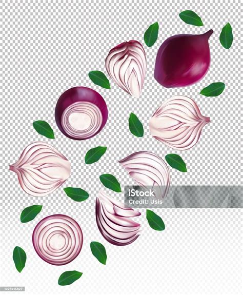 투명 한 배경에 나뭇잎빨간 양파의 집합입니다 날아다니는 빨간 양파는 통곡물로 반으로 자른다 3d 현실적인 빨간 양파 슬라이스 반