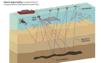 Oil And Gas Exploration Seismic