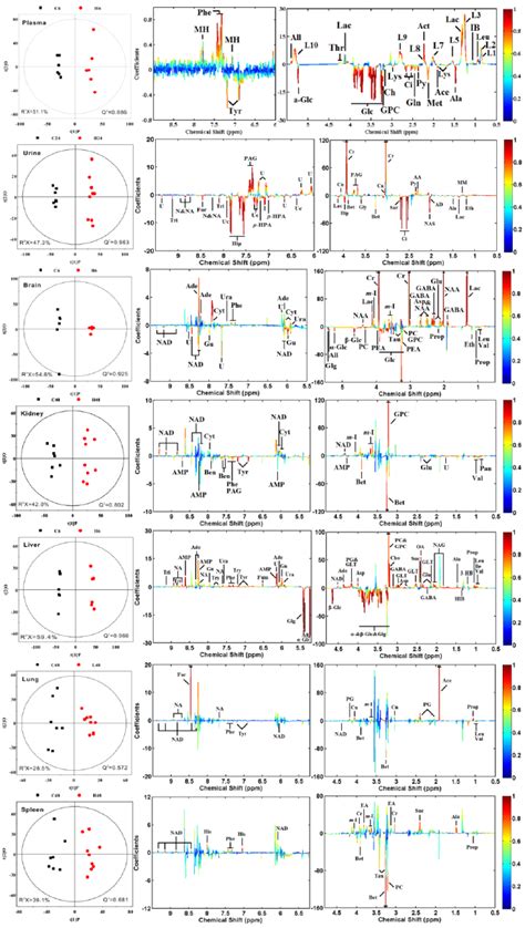 Representative Opls Da Score Plots Left Panel Derived From The 1 H