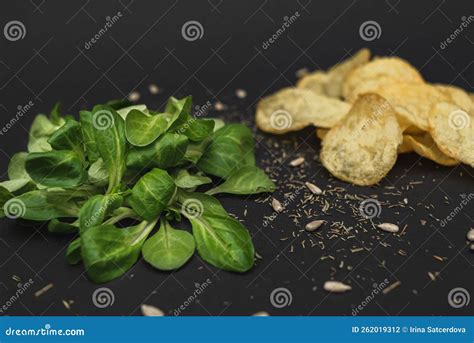 Lettuce Leaves And Chips On A Black Background Healthy And Unhealthy