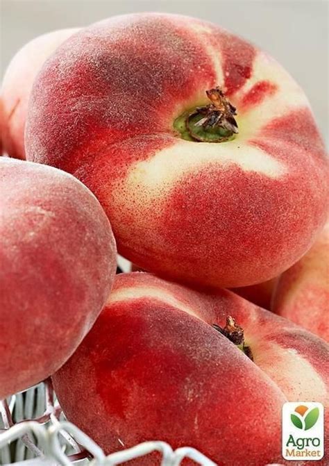 Інжирний персик Інжирний класичний літній сорт середній термін дозрівання купити поштою в