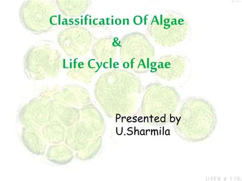 Habitat And Habit Of Algae Pptx