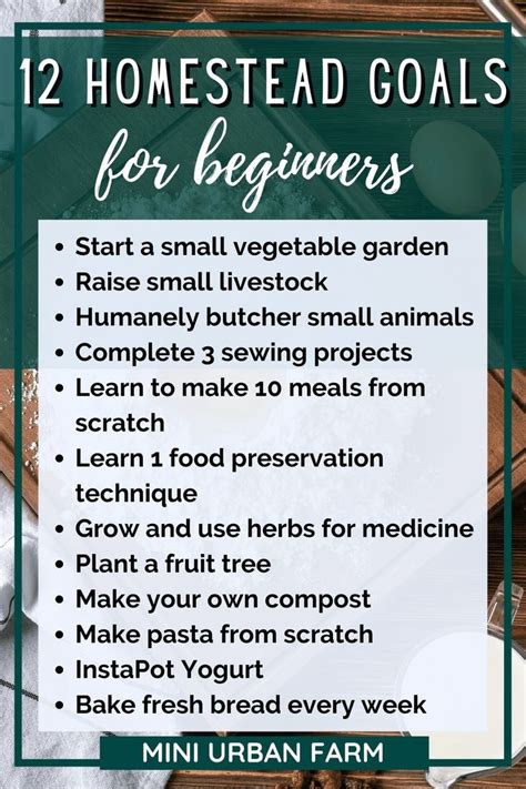 12 Homesteading Goals For Beginners Selfsufficient Garden Canadian