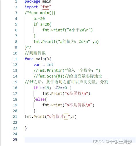 Go条件语句go 条件语句 Csdn博客