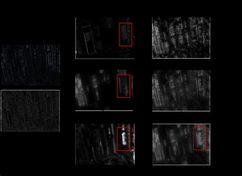 Wavelet Scale Map Generation Download Scientific Diagram