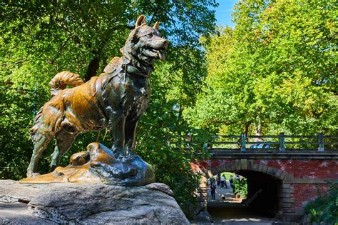 Premium Photo Balto Sled Dog Statue In Central Park New York City