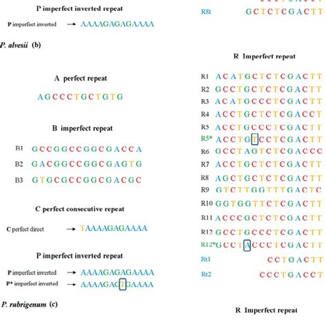 Dna Short Repeat Elements A B C P And R And Their Variants Observed Download Scientific