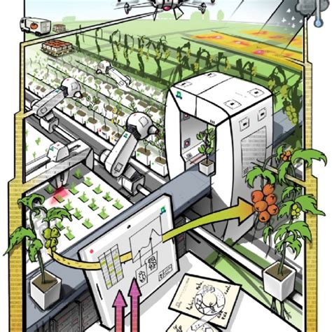 A Scenario Of Complete Digital Phenotyping From Lab To Field Image