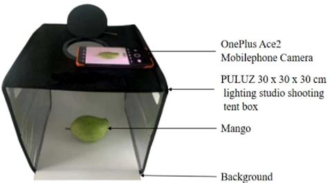Figure 1 From Mango Maturity Classification Using Vgg16 Semantic Scholar