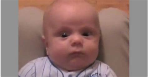 Object Permanence Imgur