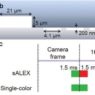 Design Of The Fluidic Device And Excitation Adapted With Permission Download Scientific