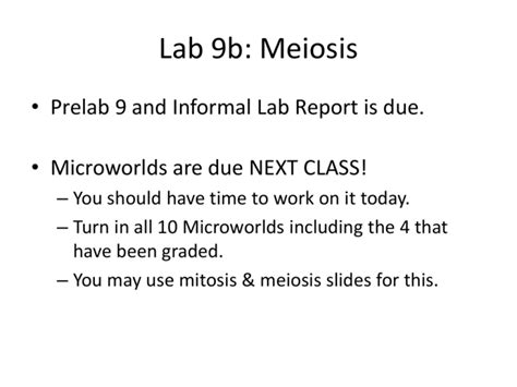 Meiosis Lab Stages Modeling And Microworlds Project