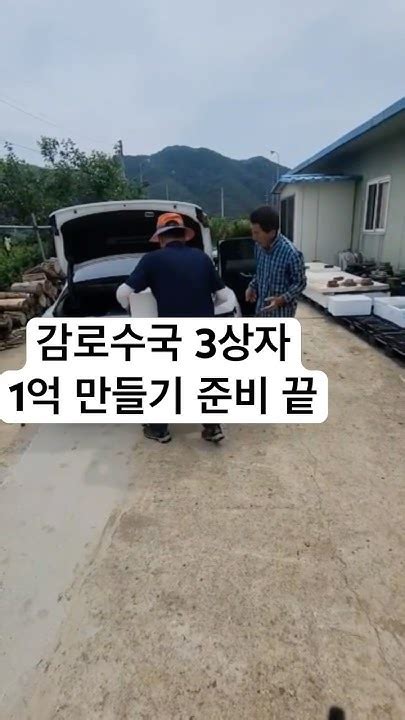 1억 만들기 시작은 스트로폼 박스 그리고 플라스틱 화분 다음은 무한생산 묘목 잎 수익창출 관심 있다면 01045029900 Youtube