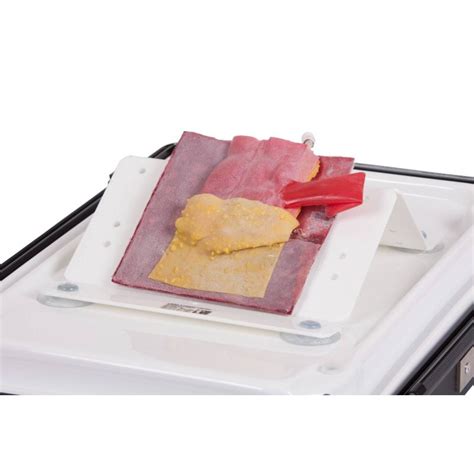 Vermiform Appendix Retrocecal Alt I Udstyr Til Færdigheds Og