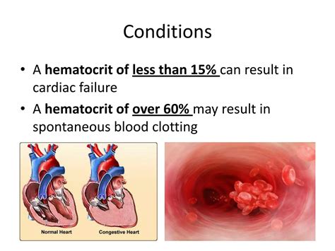 Hemoglobin And Hematocrit Determination Pptx