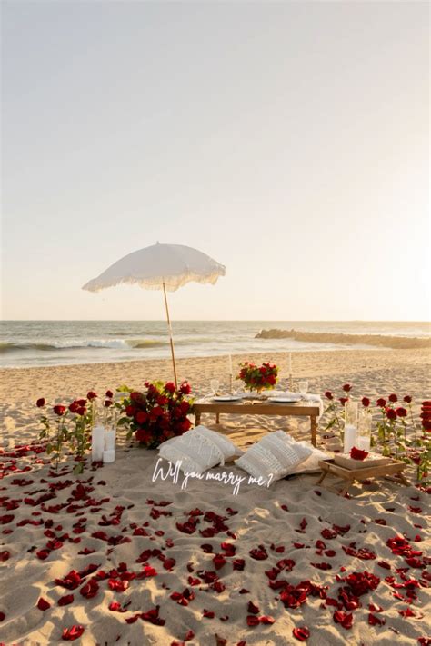 Discover 140 Proposals Beach And Beach Picnic Ideas Beach Dinner