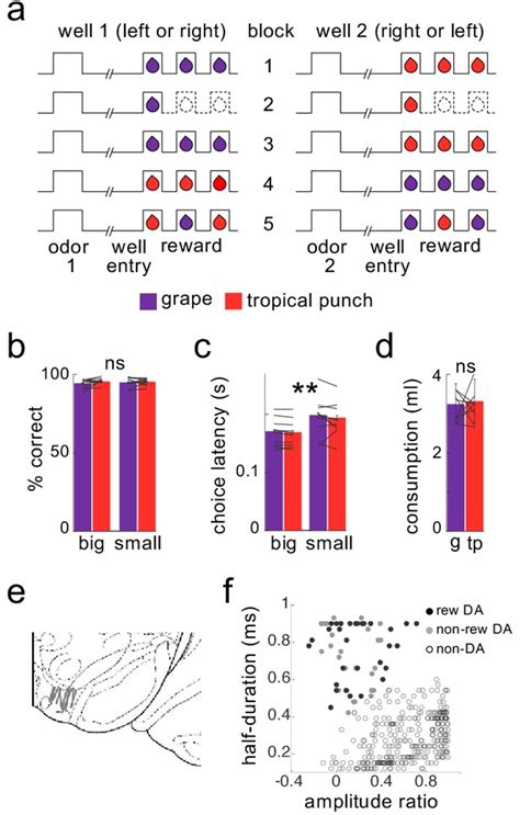 Figures And Data In Dopamine Neuron Ensembles Signal The Content Of Sensory Prediction Errors