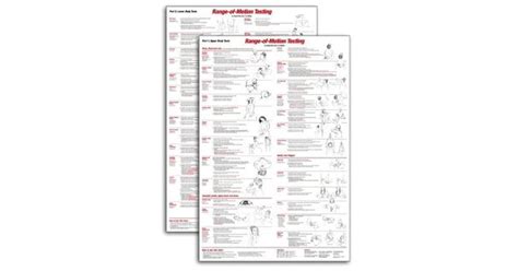 Range Of Motion Testing Set Of Charts By Richard Finn Range Of Motion Testing Set Of Charts By Richard Finn