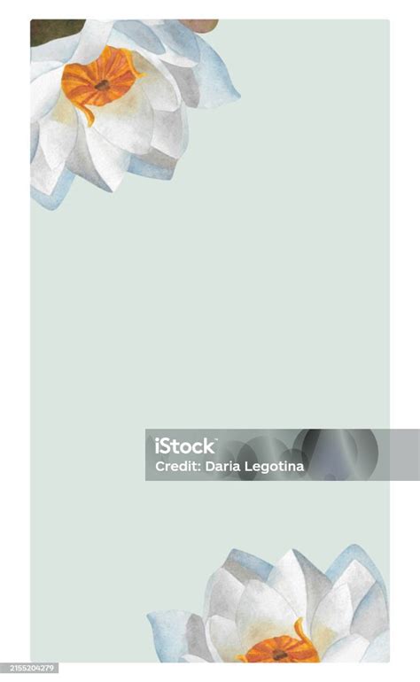 엽서 템플릿 수채화 흰색 수련 밝은 녹색 배경 연꽃 스파 요가 증명서에 대한 꽃 포스터 미용실 여성의 날 2025 어머니의 날 생일 뼈대 0명에 대한 스톡 벡터 아트 및