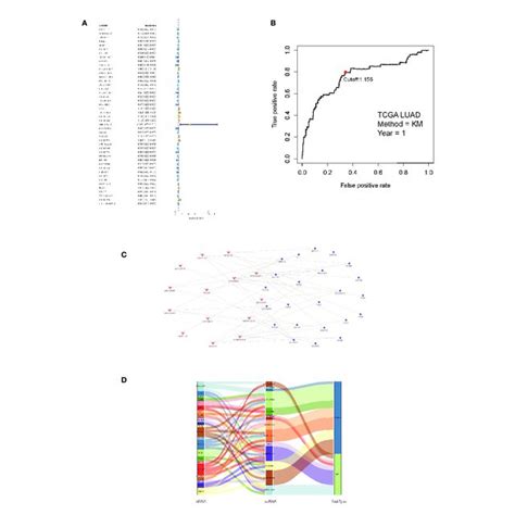 Identification Of Prognostic Lactate Metabolism Related Download Scientific Diagram