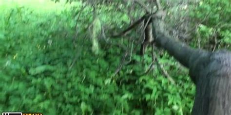 Nesti Shy Tnaflix Com