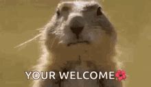 Funny Your Welcome S Tenor