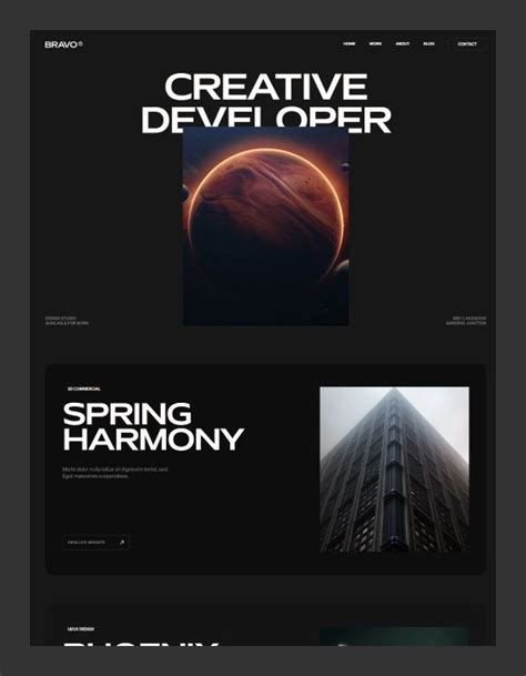 bravo portfolio html5 responsive website template