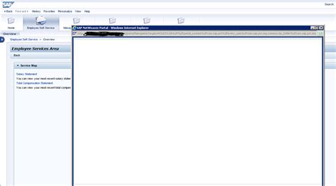 Ess Blank Pages Webdynpro Abap Applications Sap Community