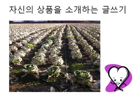 2011중대 포토에세이 6주차 칼럼에세이 돈이 되는 글쓰기 By 지식소통 조연심