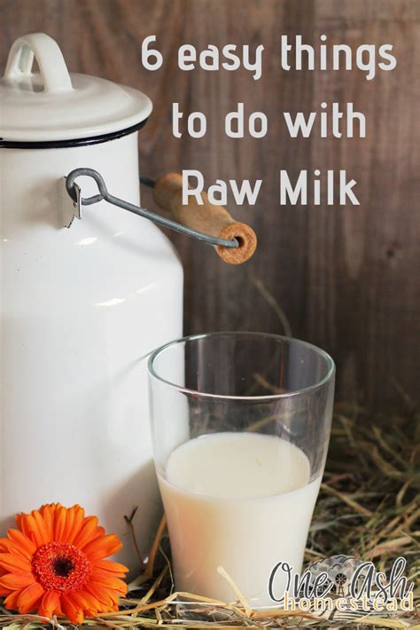 35 Homemade Recipes For Raw Milk And Dairy Products Artofit