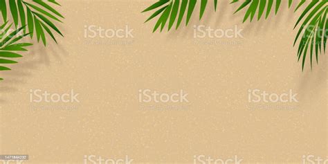 야자수 잎과 그림자가 있는 모래 해변 질감 배경 벡터 일러스트 레이 션 플랫 레이 탑 뷰 열대 여름 해변 복사 공간이 있는 갈색 모래에 코코넛 잎 휴일 여름 배경 배경 0