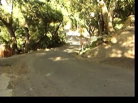 Ginger Lynn Torn XHamster Ginger Lynn Torn XHamster