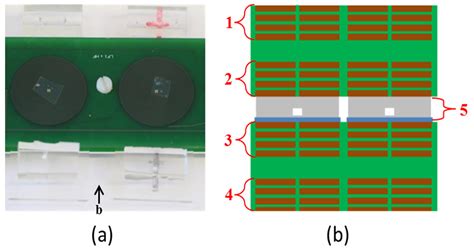 Miniaturized Pathogen Detection System Using Magnetic Nanoparticles And