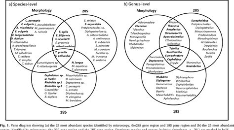 Pdf Nematodes As Bioindicators Of Polluted Sediments Using