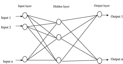 typically layered feed forward neural network download scientific
