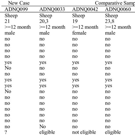 The Testing Process Of Applications Download Scientific Diagram