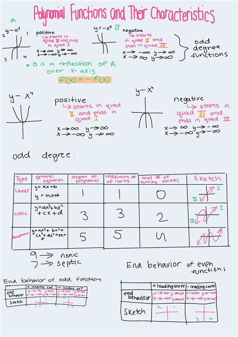 Polynomial Functions And Their Characteristics Overview Math 101