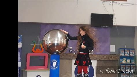 Շունն ու կատուն Youtube