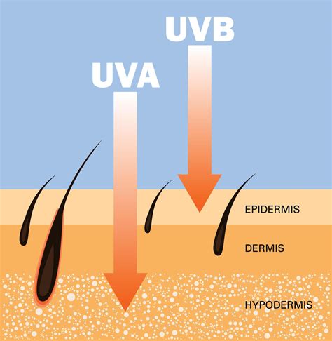 Skin Compare Protect Both UVA And UVB Ultraviolet Comparison 45775257 Vector Art At Vecteezy