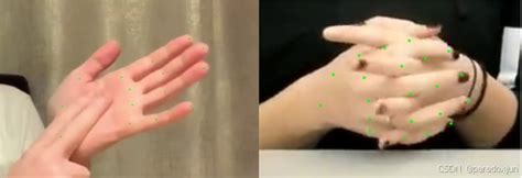 基于yolov8 Pose的手部关键点检测（1） 手部关键点数据集获取（数据集下载、数据清洗、处理与增强） Csdn博客