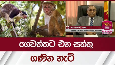 ගෙවත්තට එන සත්තු ගණින හැටි Rupavahini News Youtube