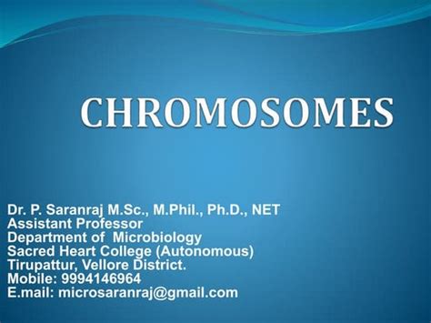 The Structure And Function Of Genes Ppt